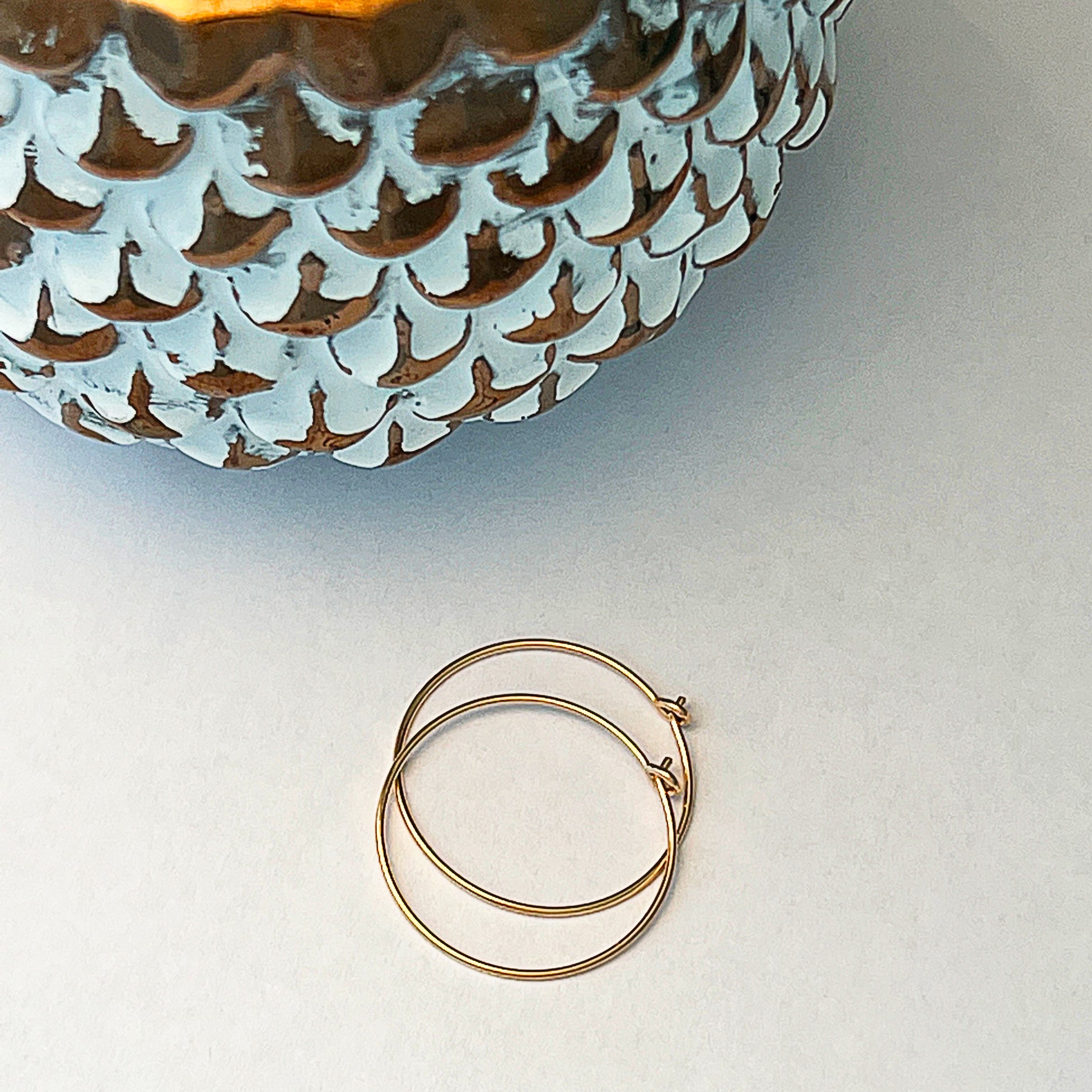 Hello Hoop Earrings – www.ToeRings.com