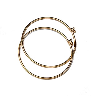Hello Hoop Earrings – www.ToeRings.com